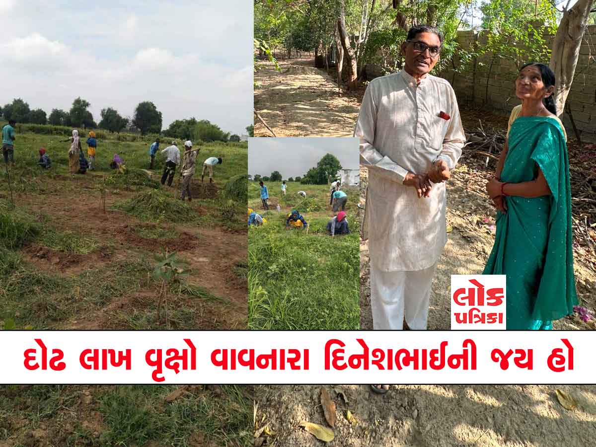 ધરતી પર લીલુછમ સ્વર્ગ બનાવી દીધું, ઉજ્જડ વિસ્તારમાં 75 વર્ષીય દંપત્તિએ ...